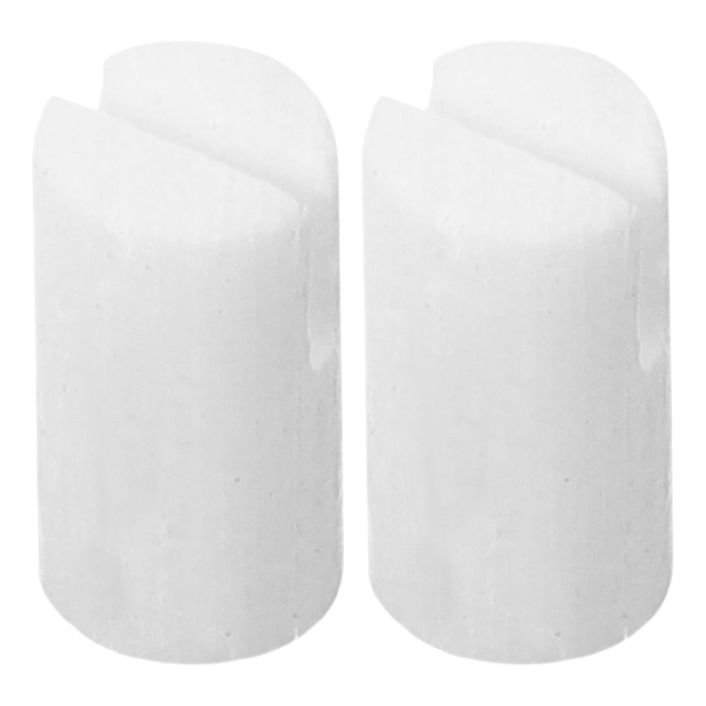 WORGEOUS 2pcs Professional Grade Bone Bridge Pins Banjo Bone Nut ...