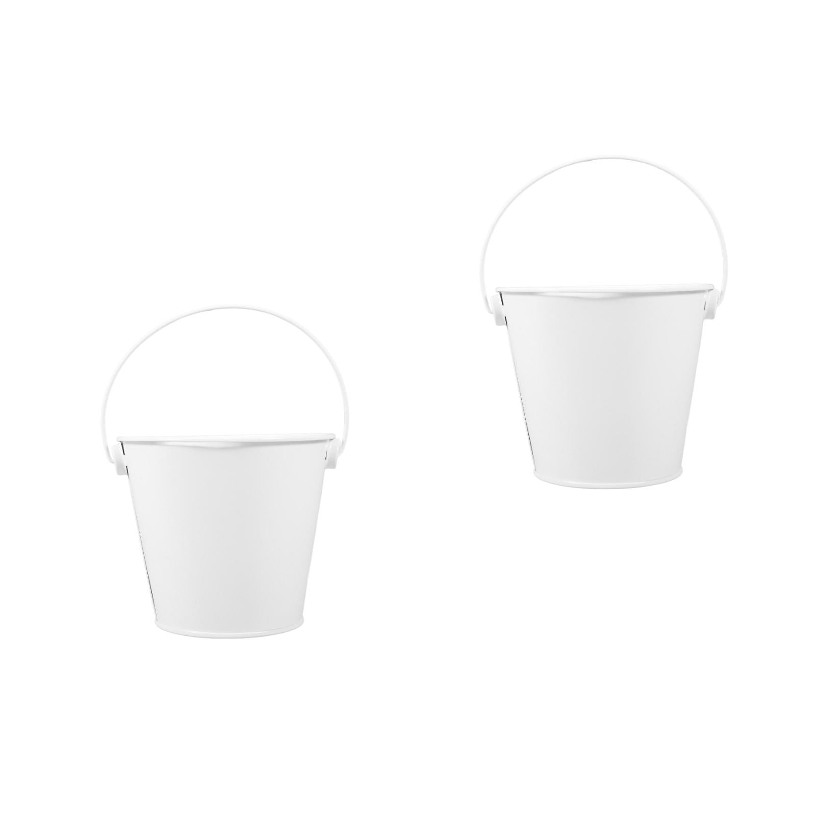 WORGEOUS 2pcs Small Metal Buckets With Handle For Classroom Party And ...