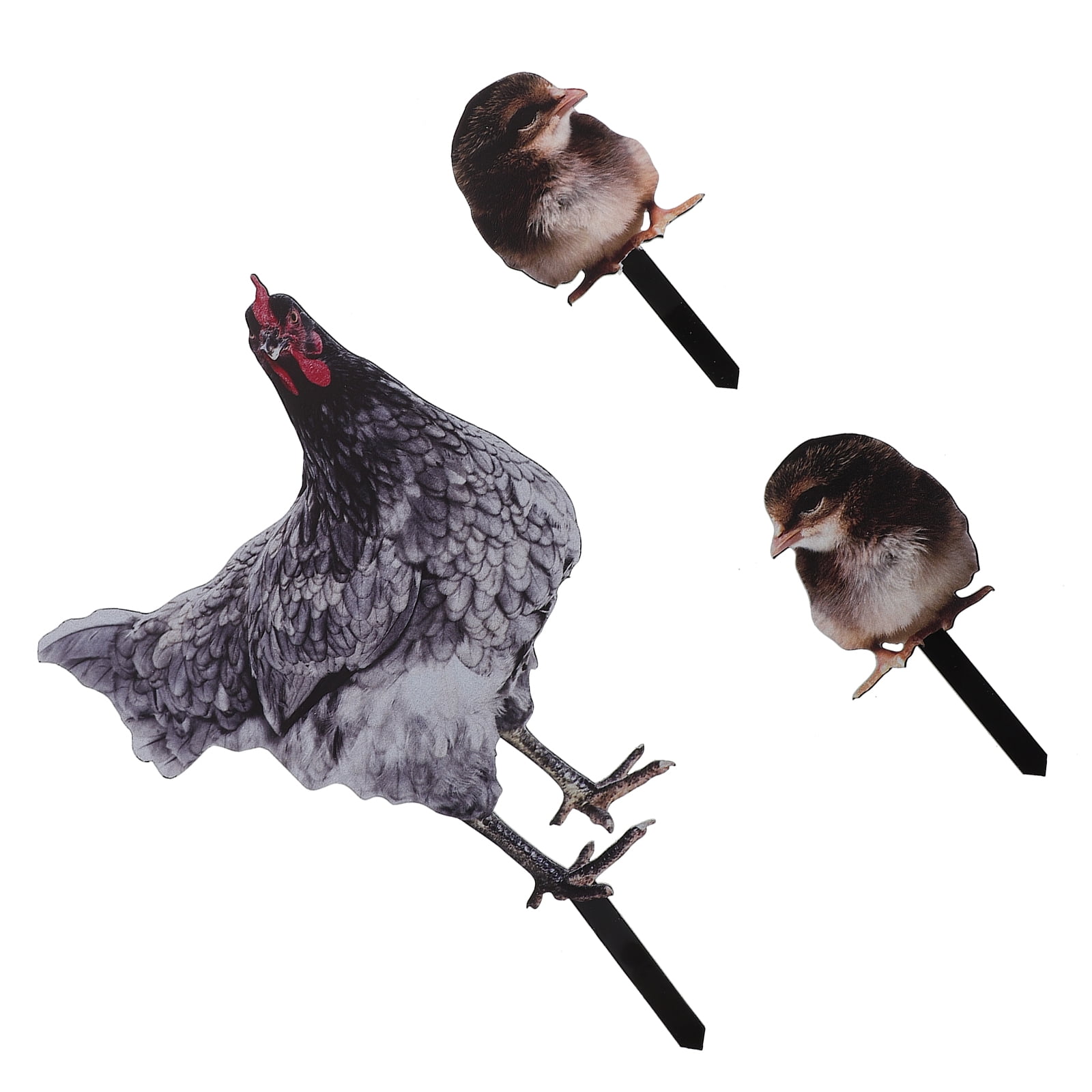WORGEOUS 3 Pcs Garden Three-dimensional Acrylic Hen Chick Plug-in ...
