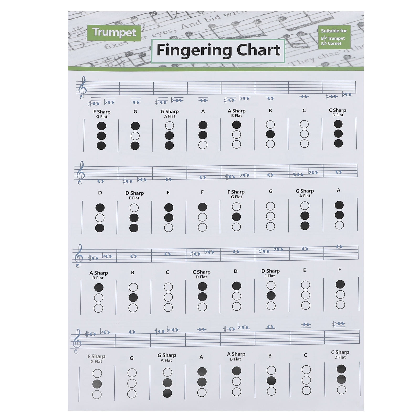 WORGEOUS 3 pcs Trumpet Chord Chart Chords Poster Chord Reference Guide (Assorted Color ...
