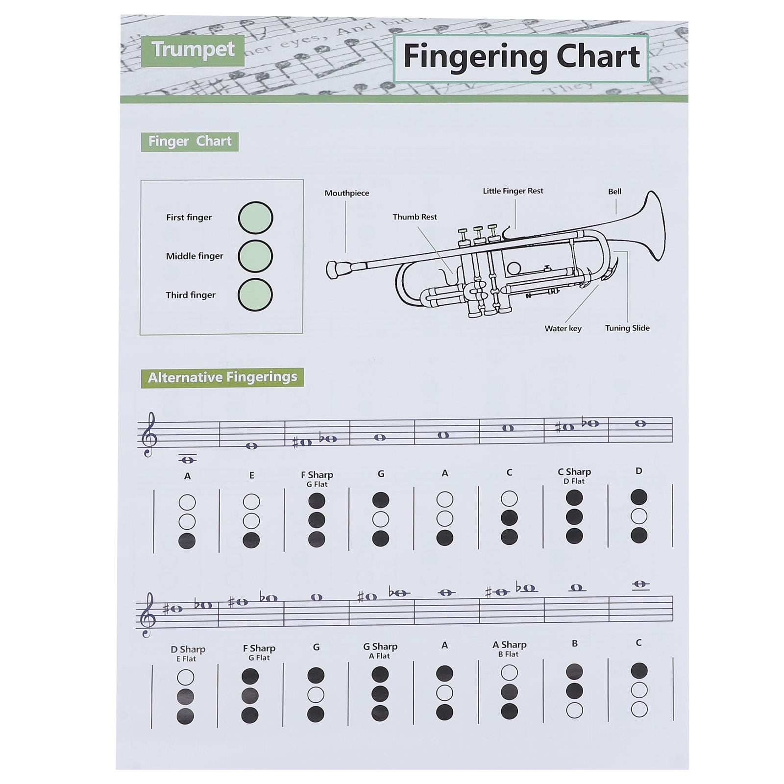 WORGEOUS 3 pcs Trumpet Chord Practice Chart Beginners Chart Finger ...