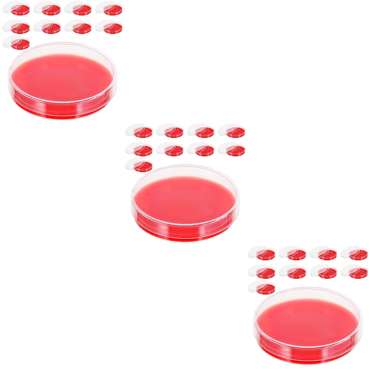 WORGEOUS 30 pcs Infusion Agar Plates Blood Agar Culture Medium ...