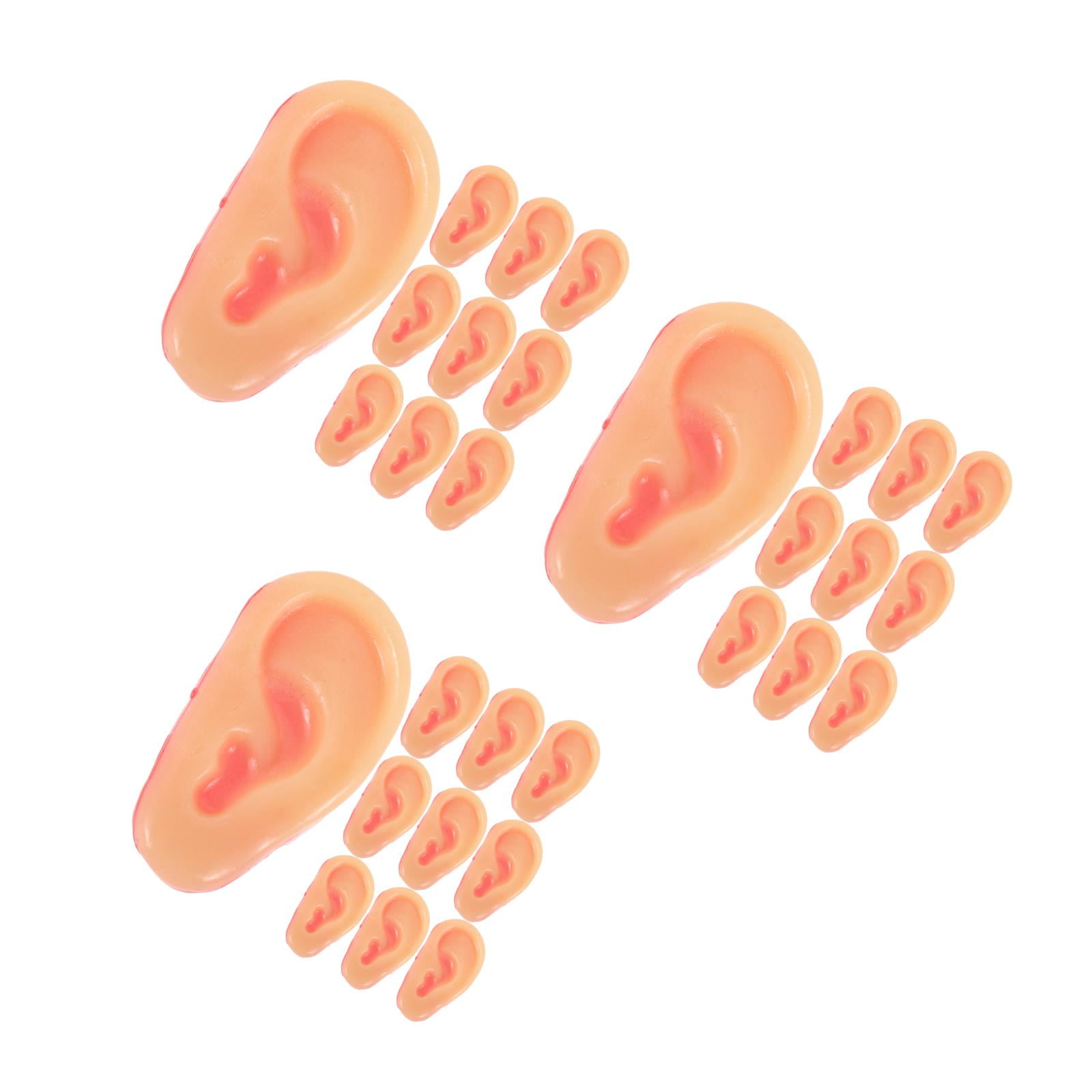 WORGEOUS 30 pcs Realistic Fake Ear Model Simulation Ear Models Fool's ...