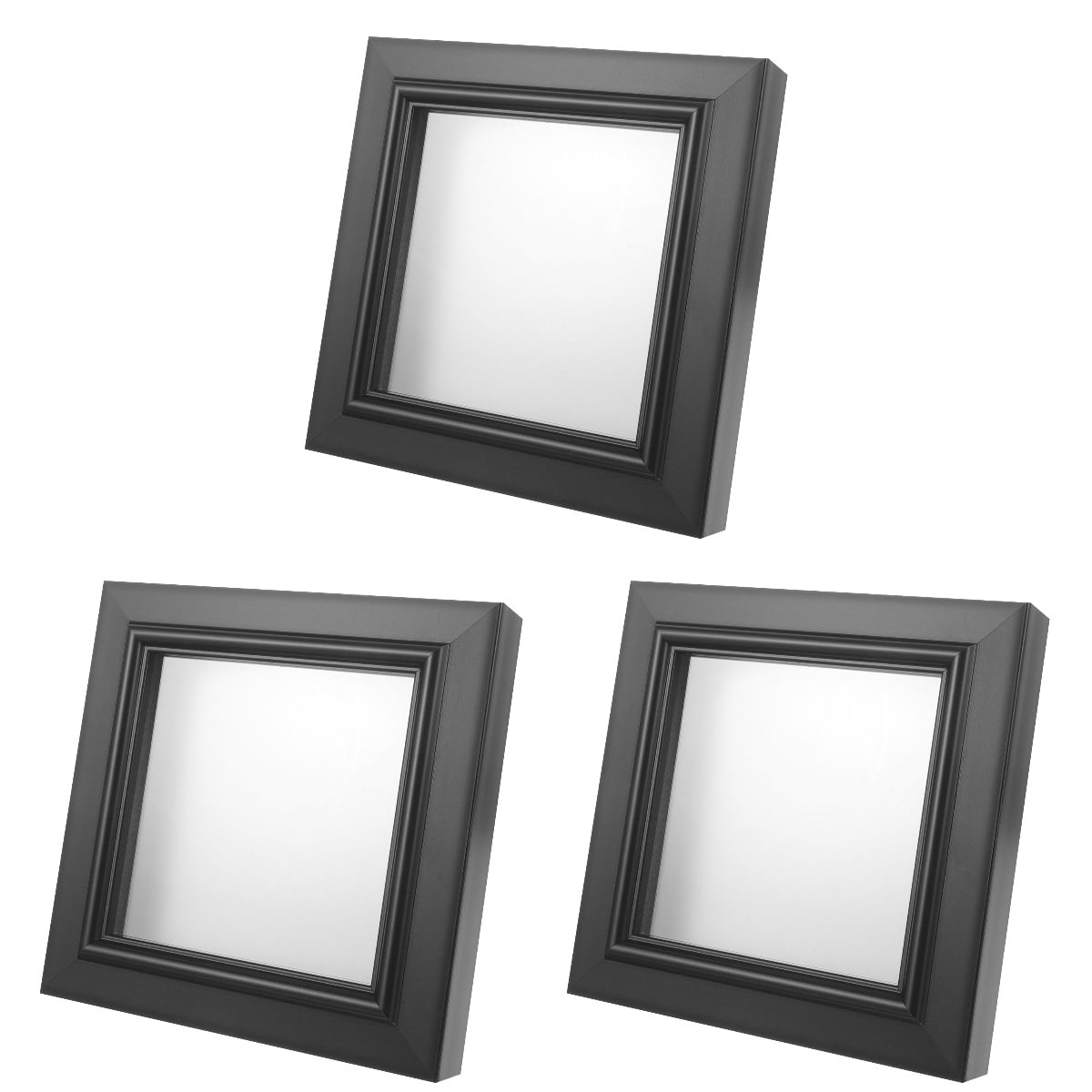 WORGEOUS 3pcs Plant Insect Specimen Frame Wooden Display Flower Frame ...