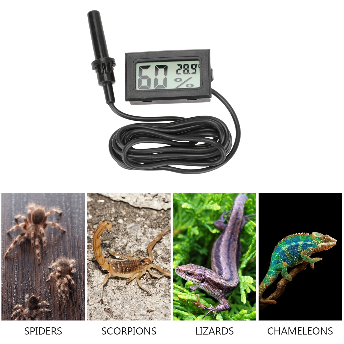 WORGEOUS 5 Pcs Hydrometer Pet Thermometer Mini Temperature Gauge 4.5X2 ...