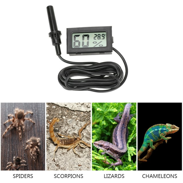 WORGEOUS 5 Pcs Hydrometer Pet Thermometer Mini Temperature Gauge 4.5X2 ...