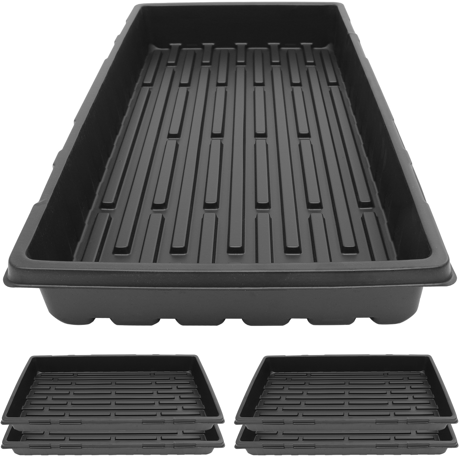 WORGEOUS 5 Pcs Plate Nursery Flower Trays Plant Propagation Kit ...