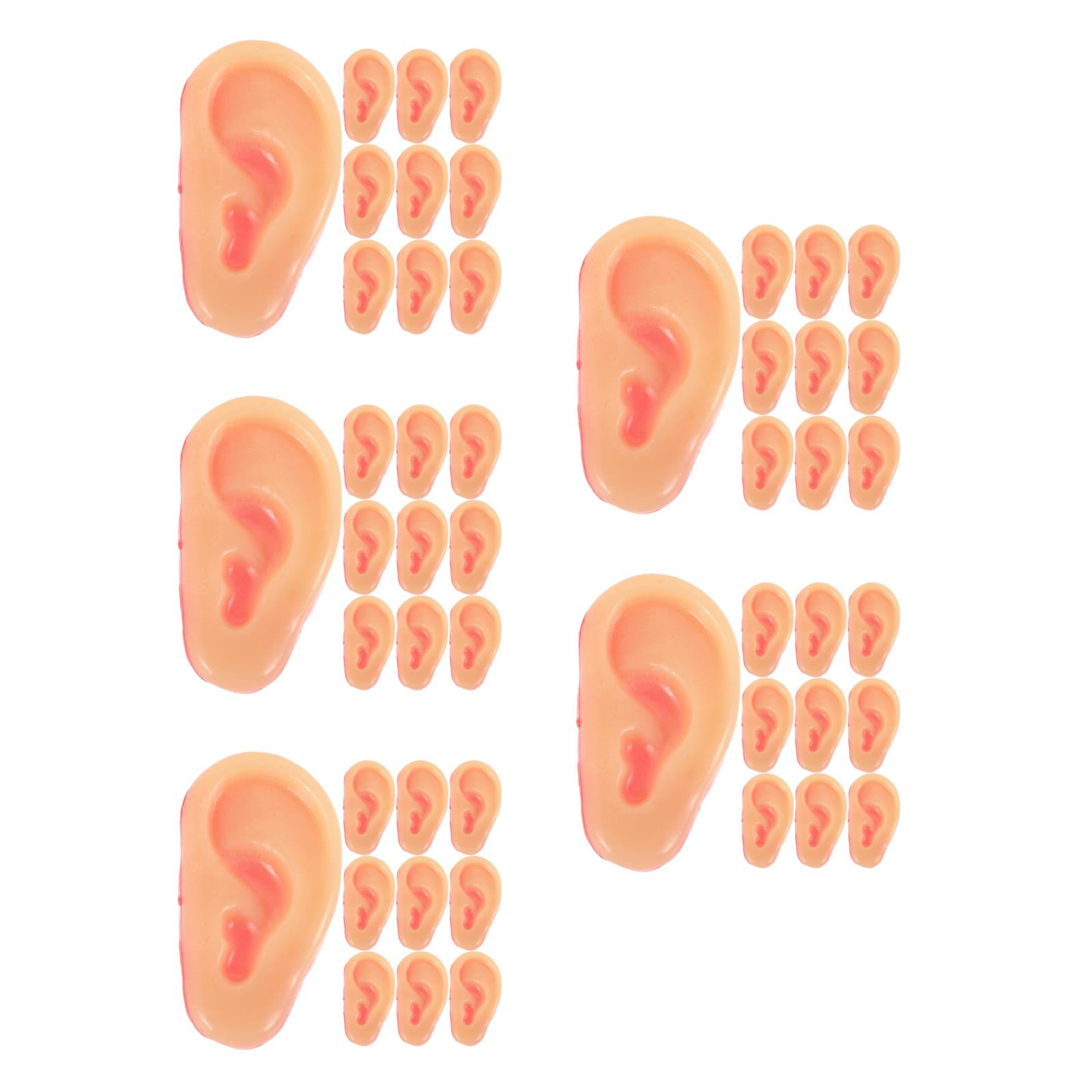 WORGEOUS 50 pcs Realistic Fake Ear Model Simulation Ear Models Fool's ...