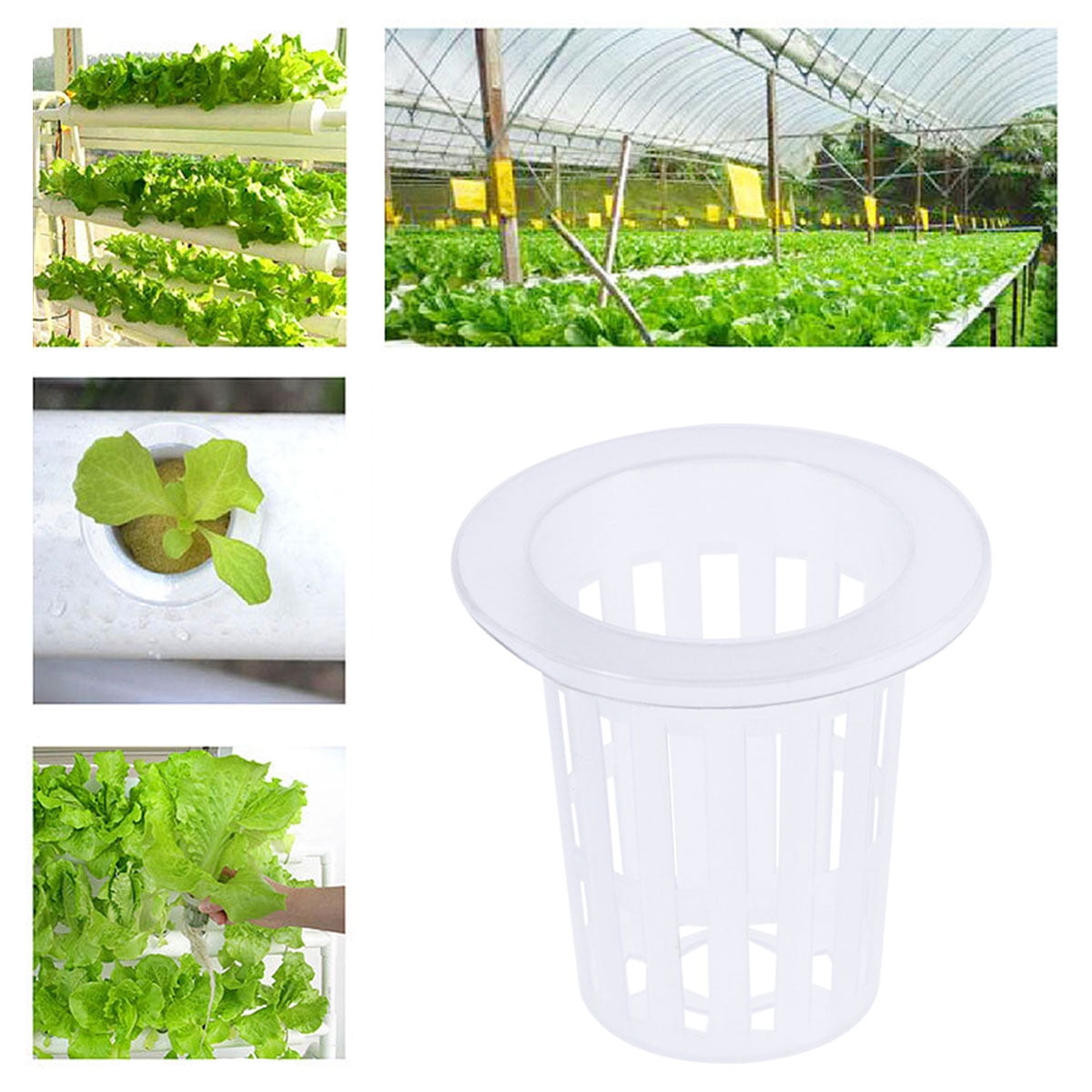 WORGEOUS 50pcs Slotted Mesh Soilless Culture Vegetable Net Pots Baskets Cups for Hydroponics ...