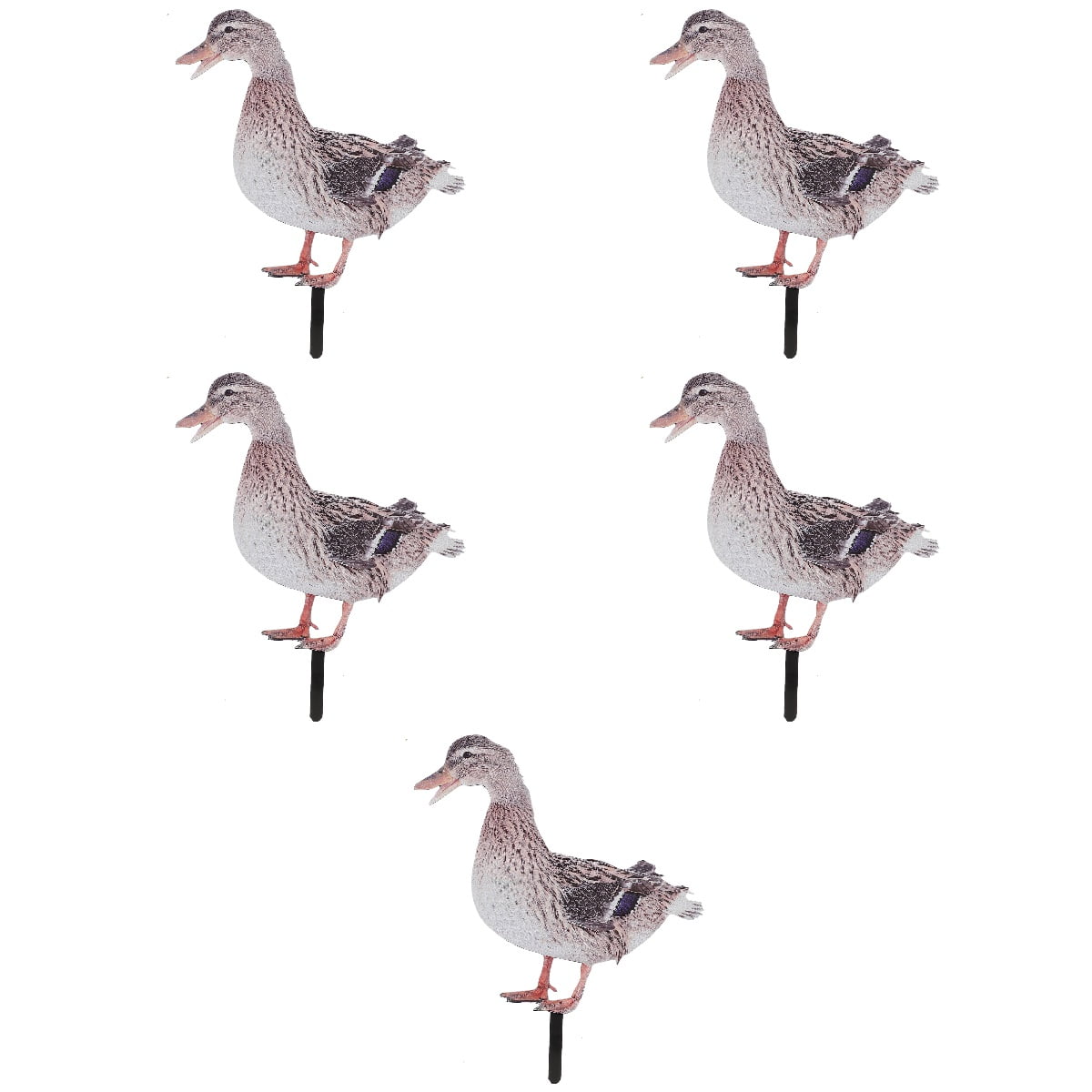 WORGEOUS 5pcs Decorative Stake Realistic Acrylic Signs Garden ...