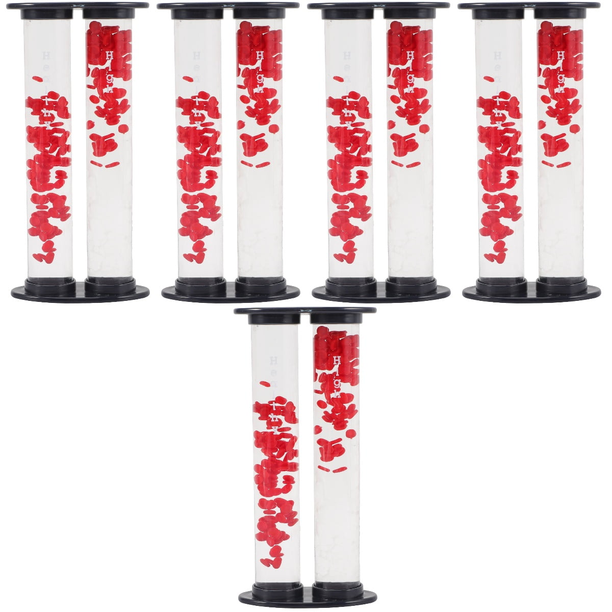 WORGEOUS 5pcs Medical Blood Vessel Model Display Blood Vessel Model ...