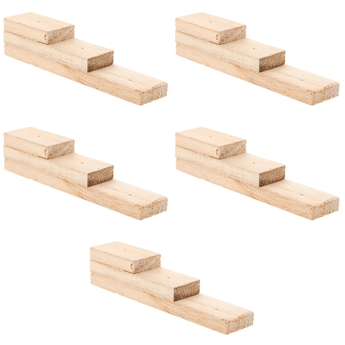 WORGEOUS 5pcs Wooden Insect Specimen Display Step Specimen Showing ...