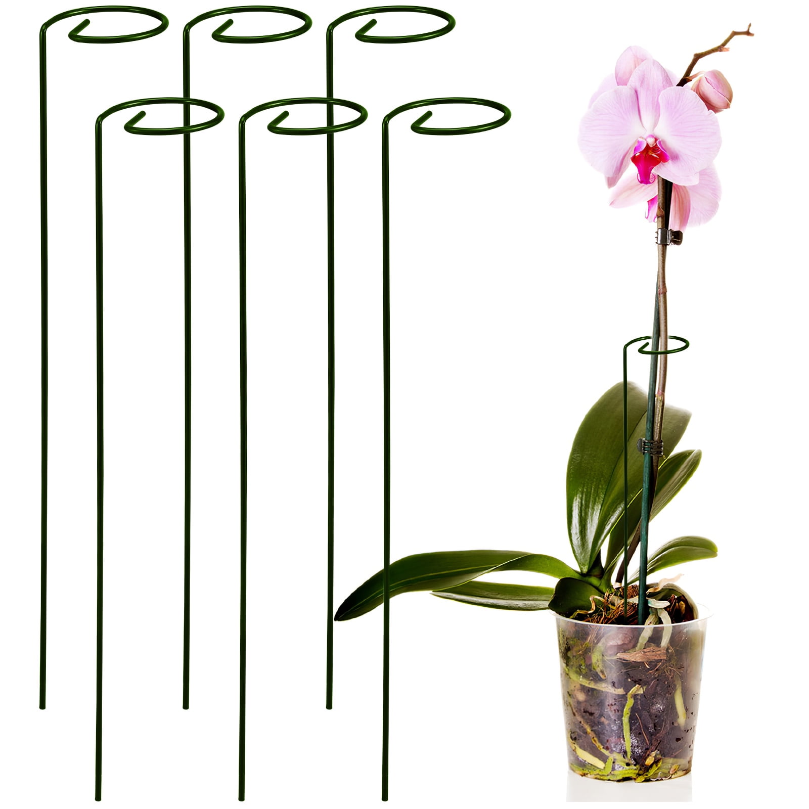 WORGEOUS 6 Pcs Plant Support Stakes Structures Garden Trellis For ...