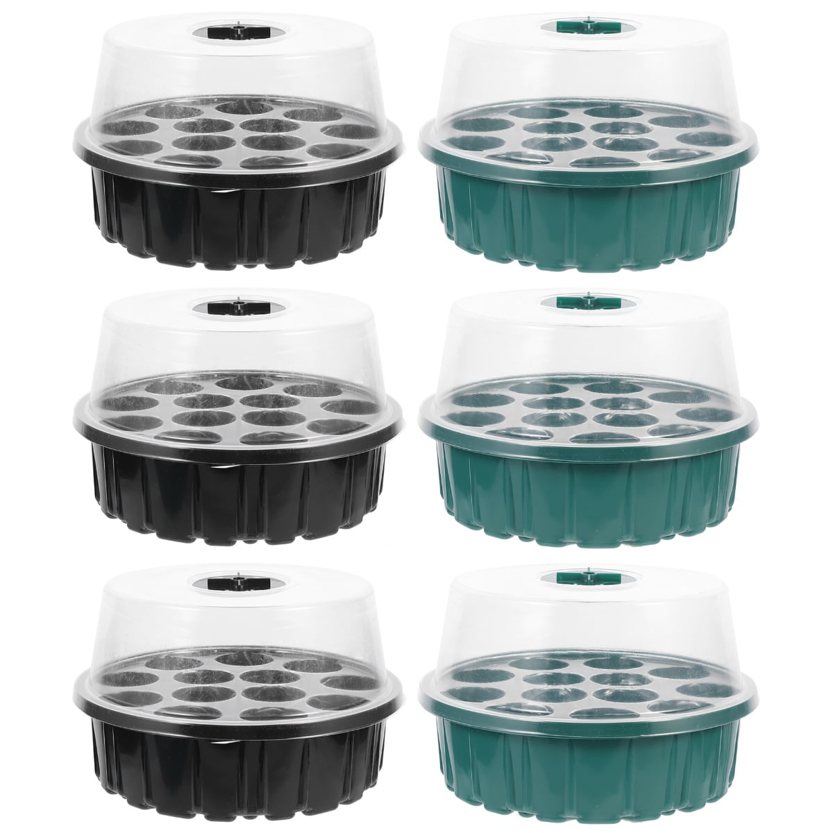 Worgeous 6 pcs Plant Germination Trays 13-hole Nursery Growing Trays ...