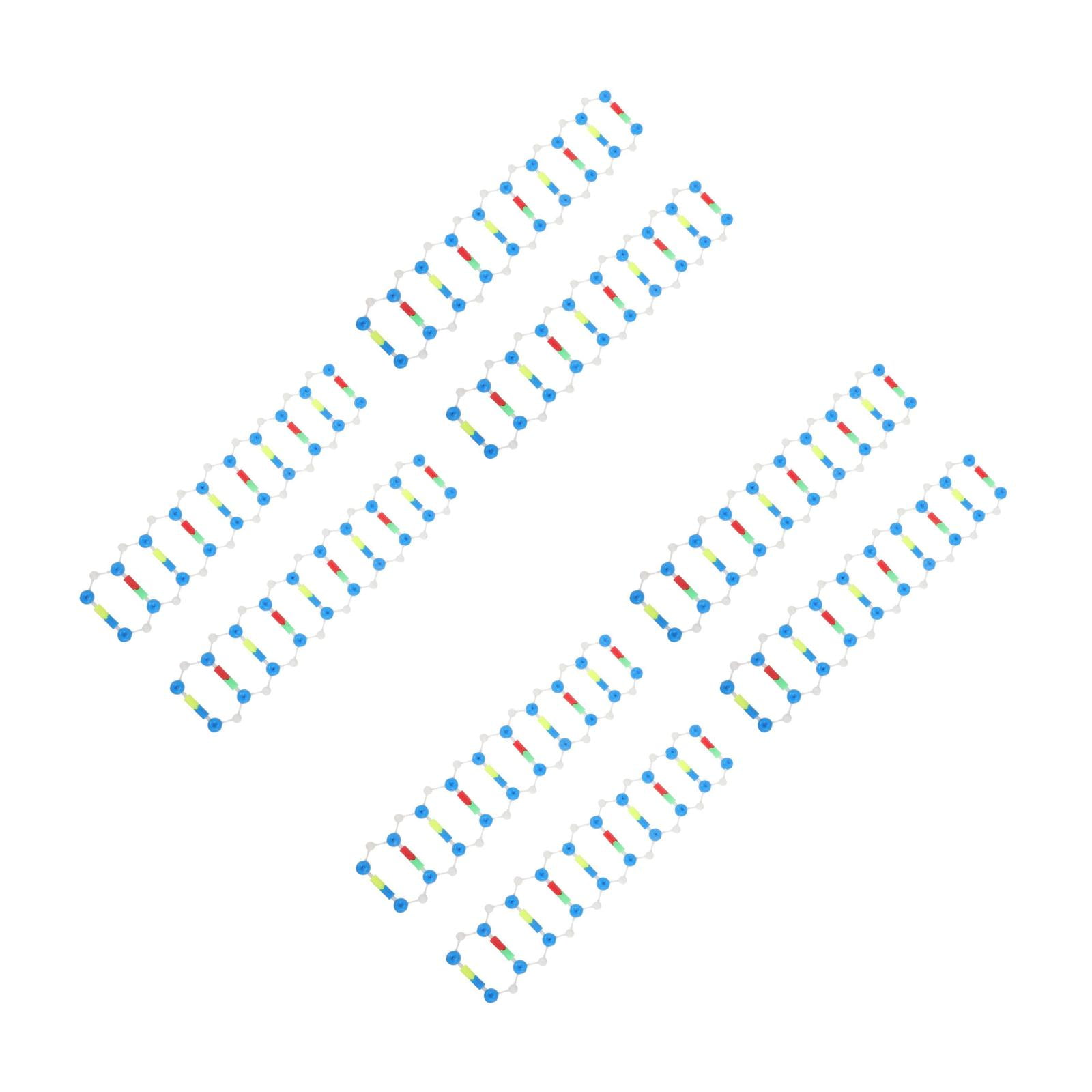 WORGEOUS 8 pcs Dna Model Double Helix Structure Model Dna Display ...