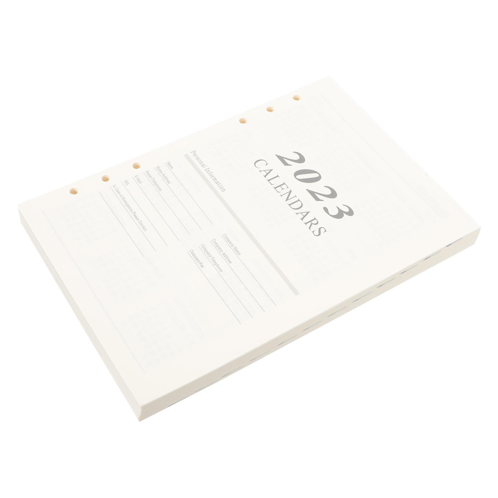 WORGEOUS A5 Diary Inserts 2024 Plan This Refill Work Office - Walmart.com