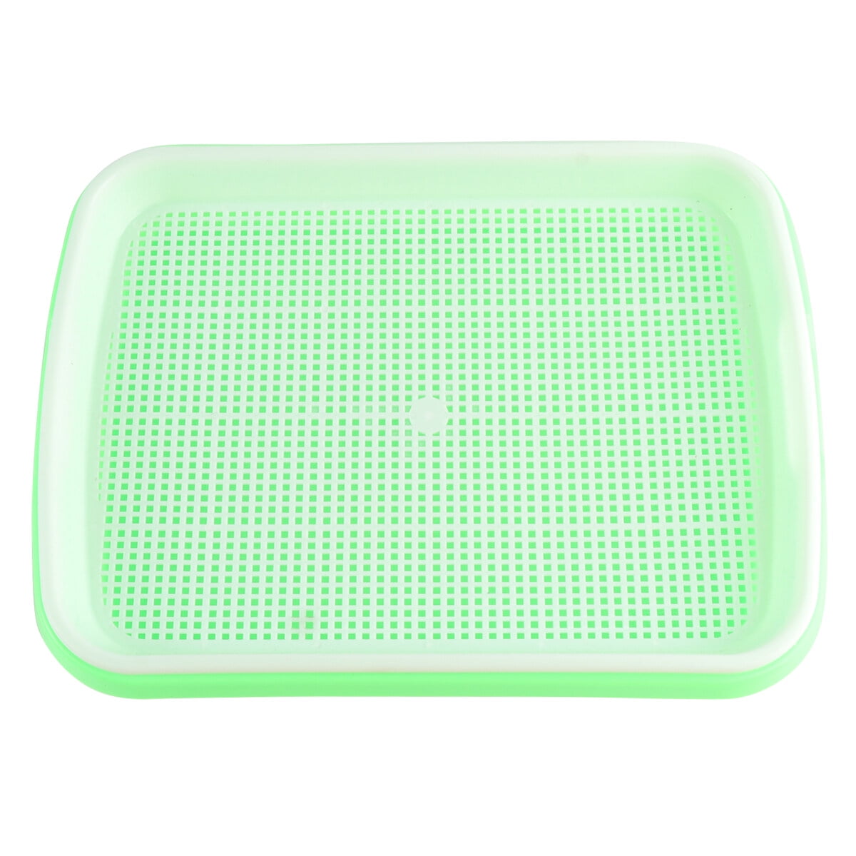 WORGEOUS Cat Grass Growing Kit Seed Sprouting Trays Wheatgrass Grower ...