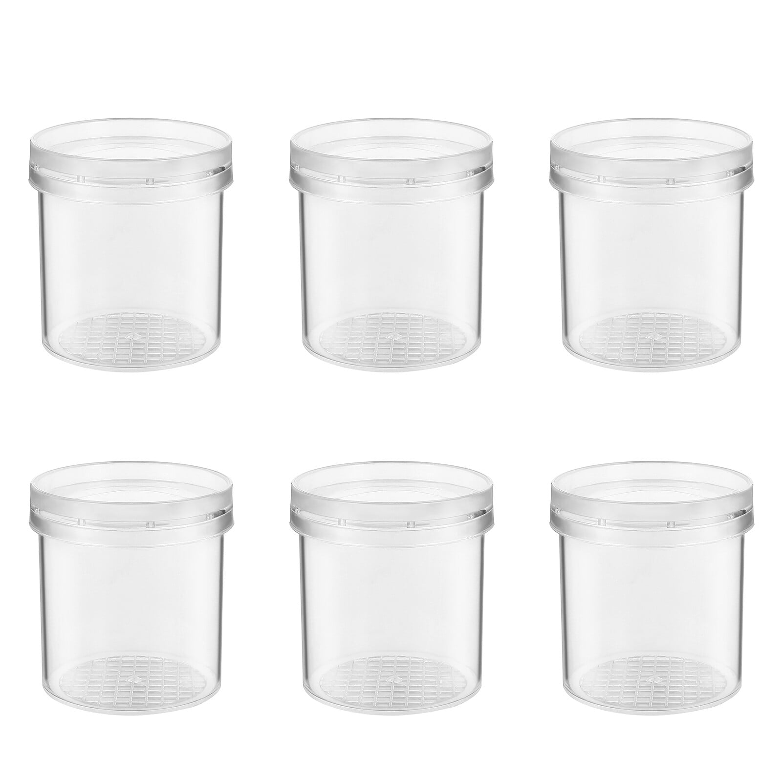 WORGEOUS Crawler Ant Insect Observation Cup Science Bug Research Tools ...