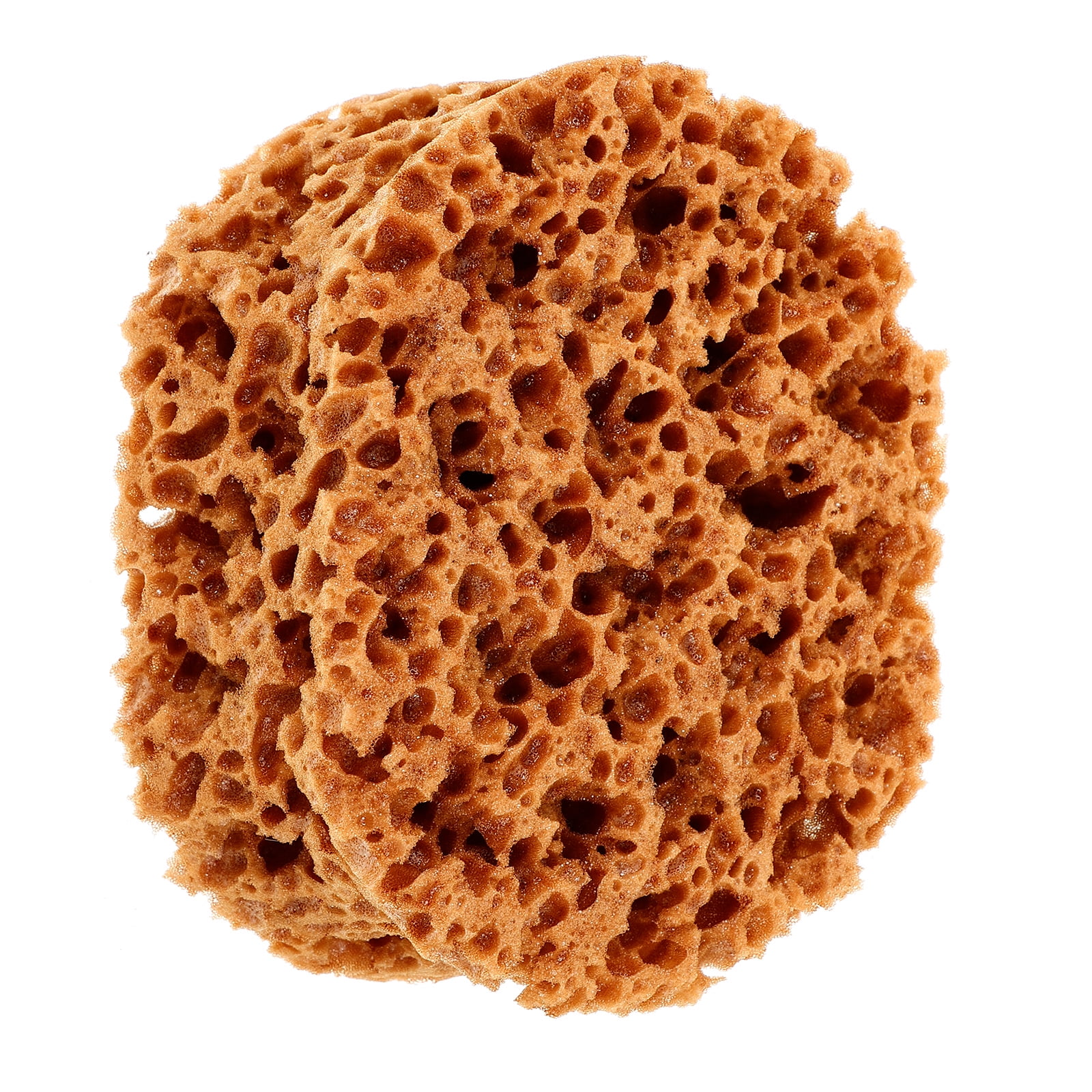 WORGEOUS Epoxy Sponge Sea Sponges Natural for Painting Seaweed Tool ...