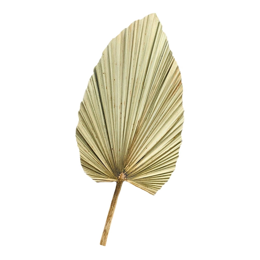 WORGEOUS Extra Large Palm Fan Leaf Dried Pu Leaves Artificial Green ...