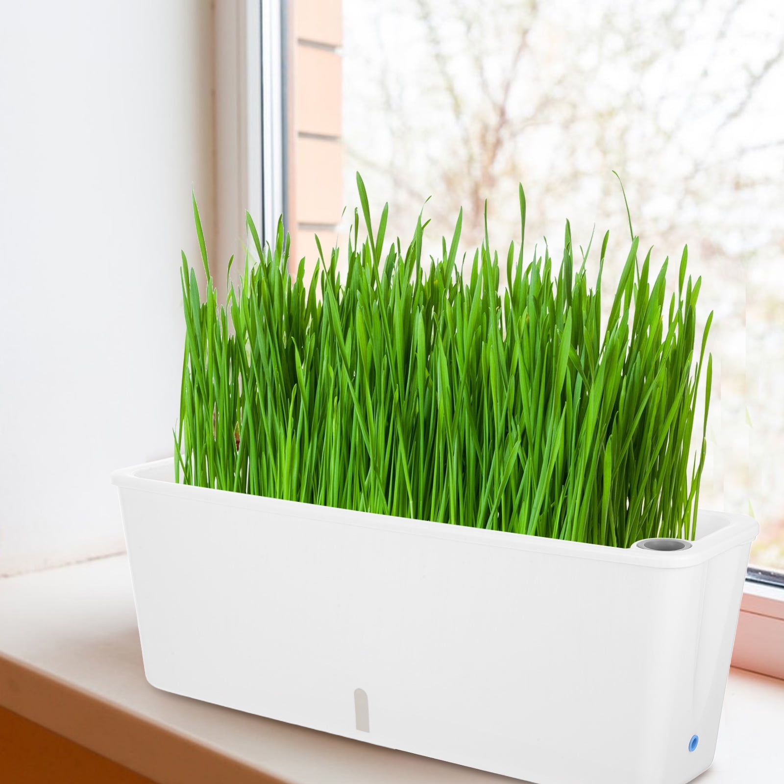 WORGEOUS Narrow Self-Watering Planter Box With Drainage Hole For Indoor ...