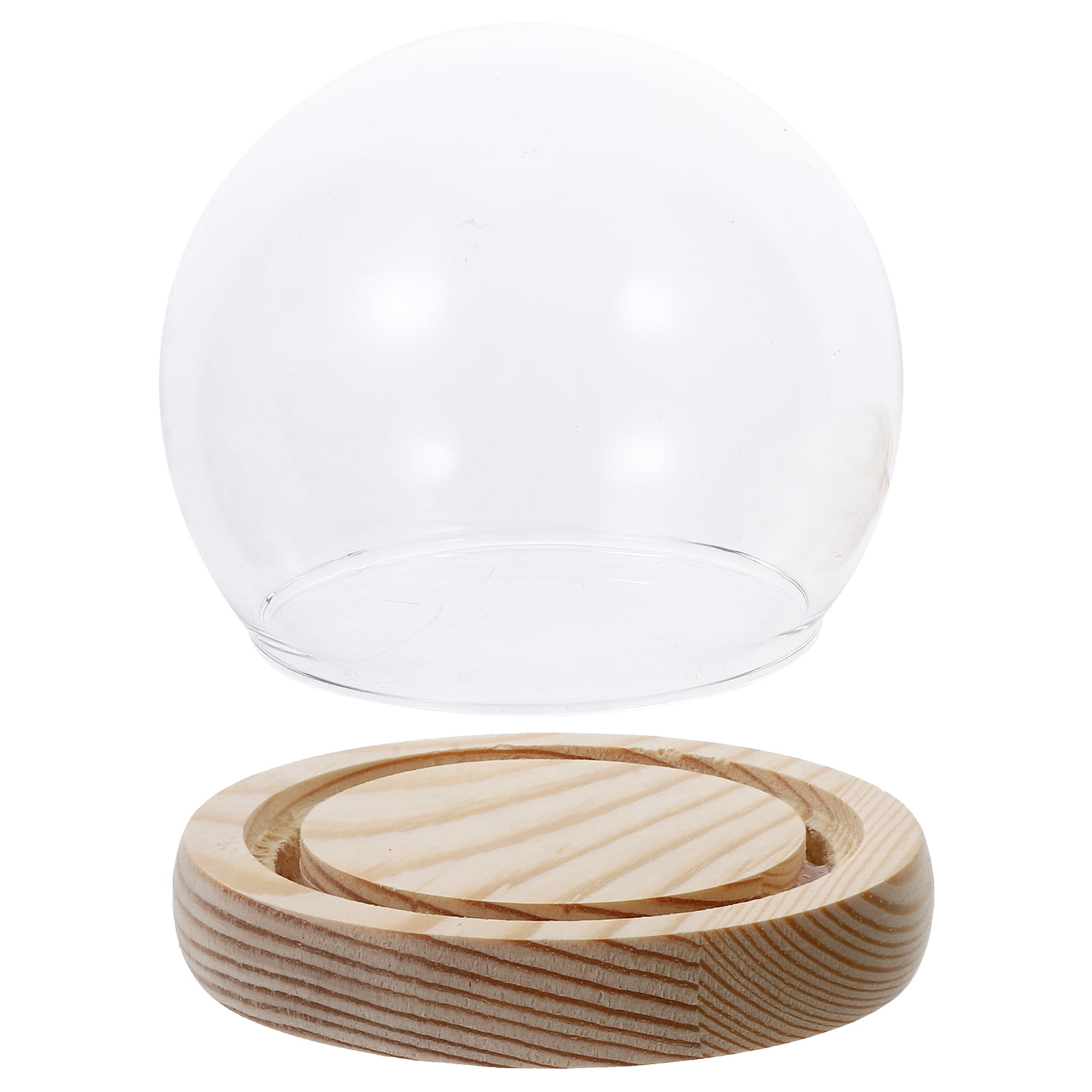 WORGEOUS Nursery Pots Large Centerpieces Preserved Flower Glass Cover ...