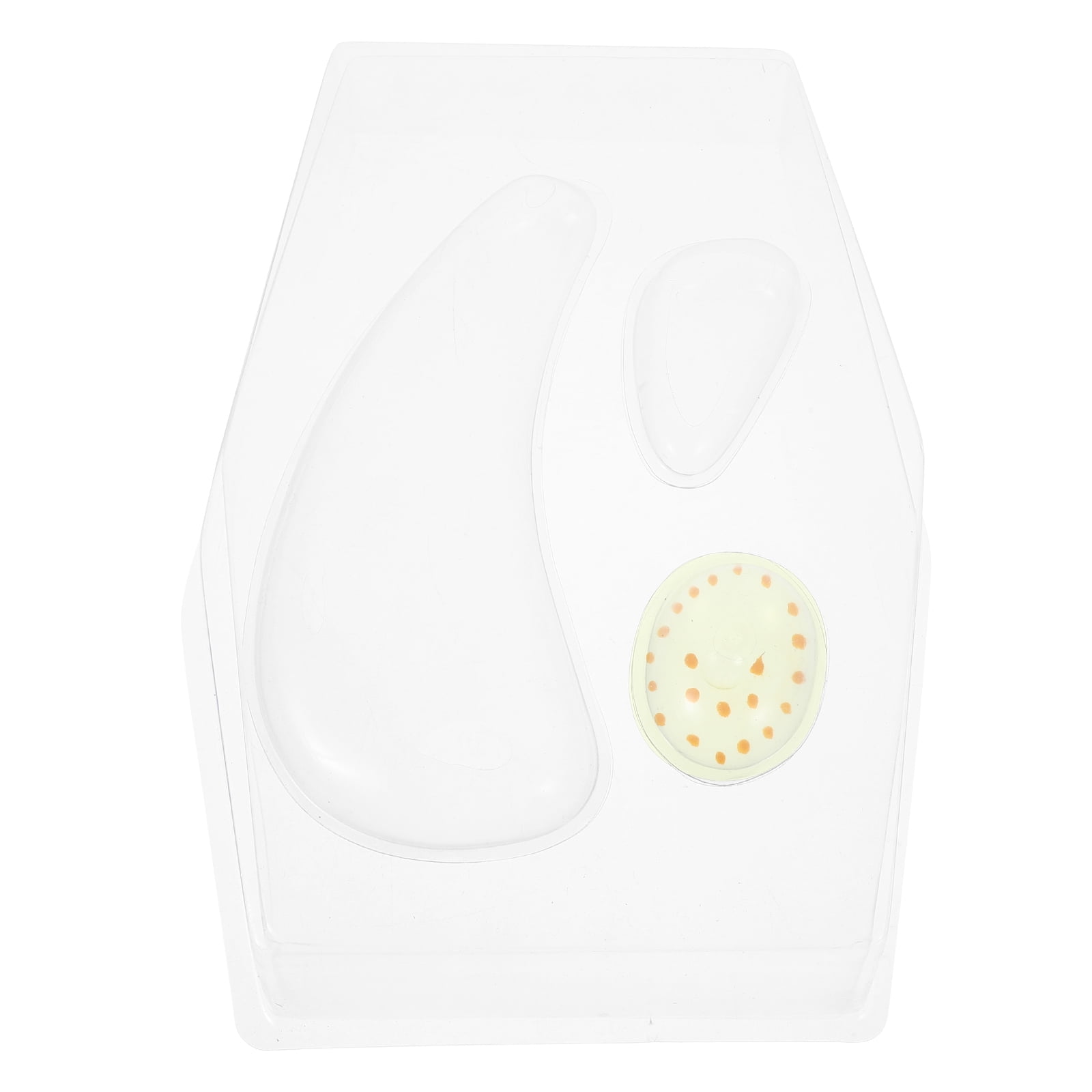 WORGEOUS Plant Cell Model Kit for Early Educational STEM Toys Classroom ...