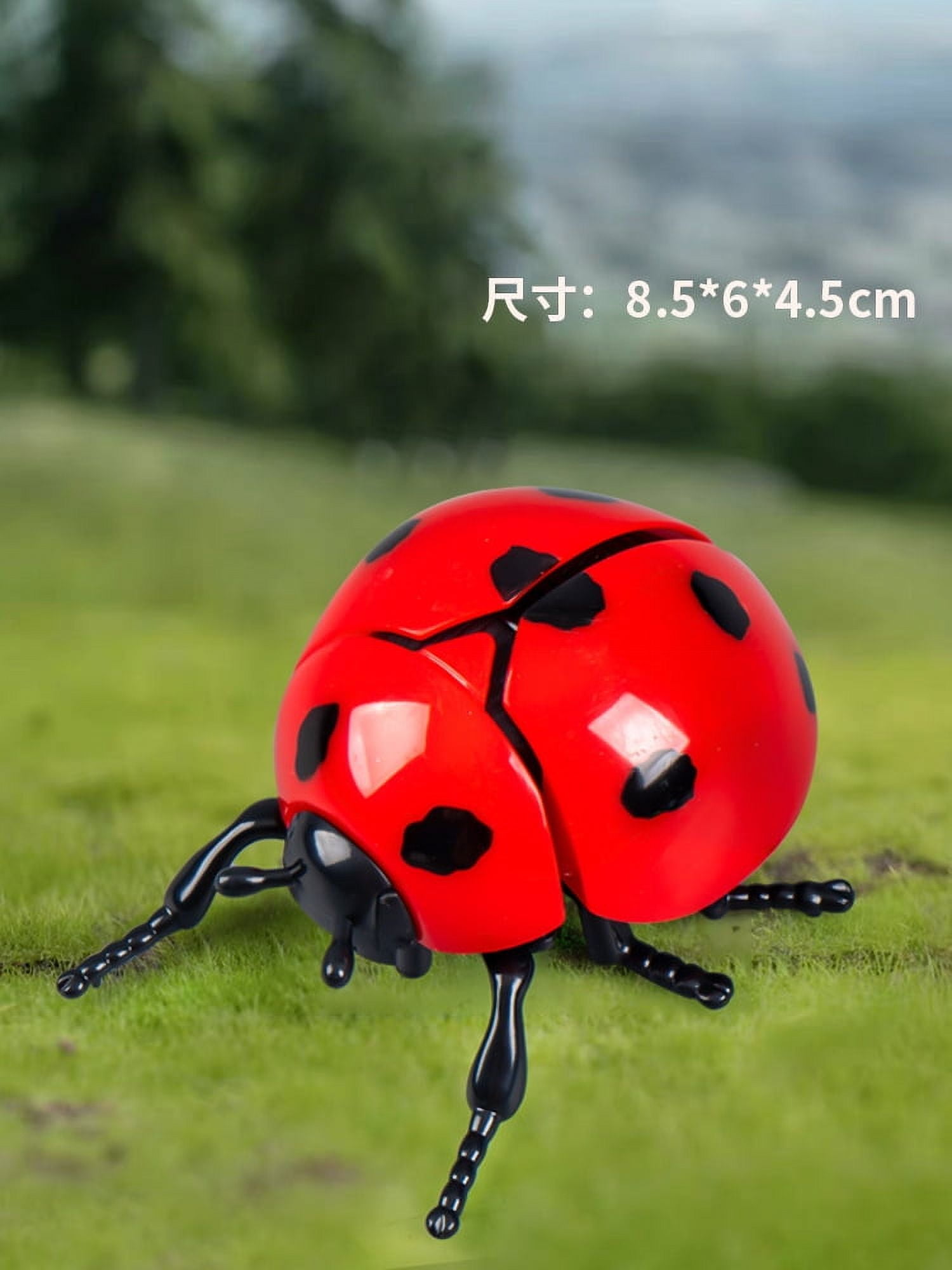 WORGEOUS Realistic Beetle Toy Wind Up Ladybug for Kids Simulation ...