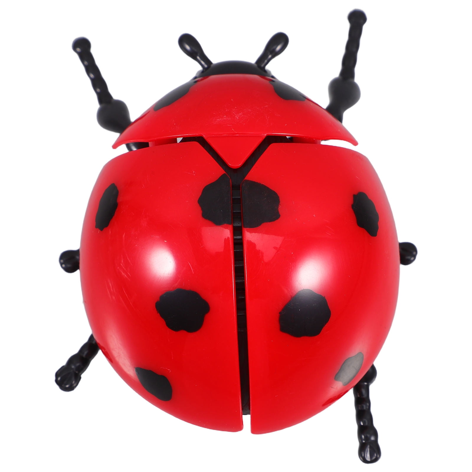WORGEOUS Realistic Beetle Toy Wind Up Ladybug for Kids Simulation ...