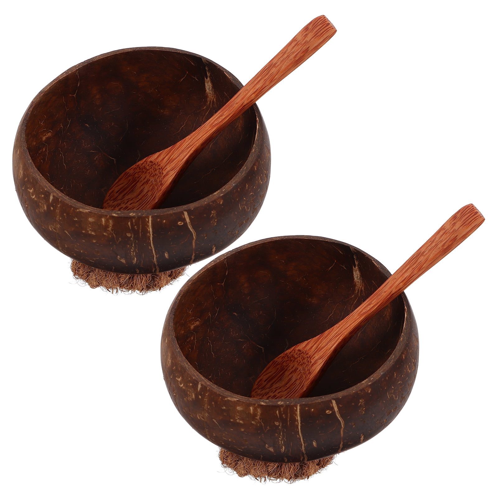 WORGEOUS Seashell Coconut Shell Bowl Set 13.00X13.00X7.50CM Light Brown ...