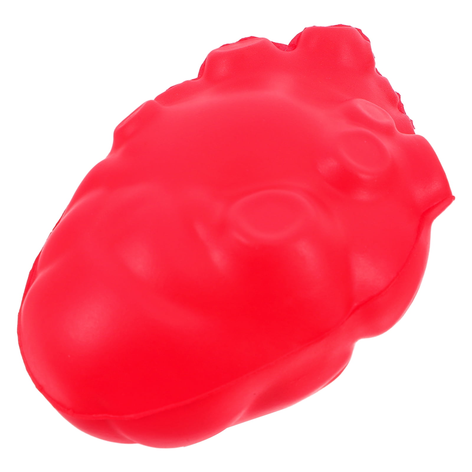 WORGEOUS Simulation Organ Model For Teaching Realistic Heart Toy Human ...