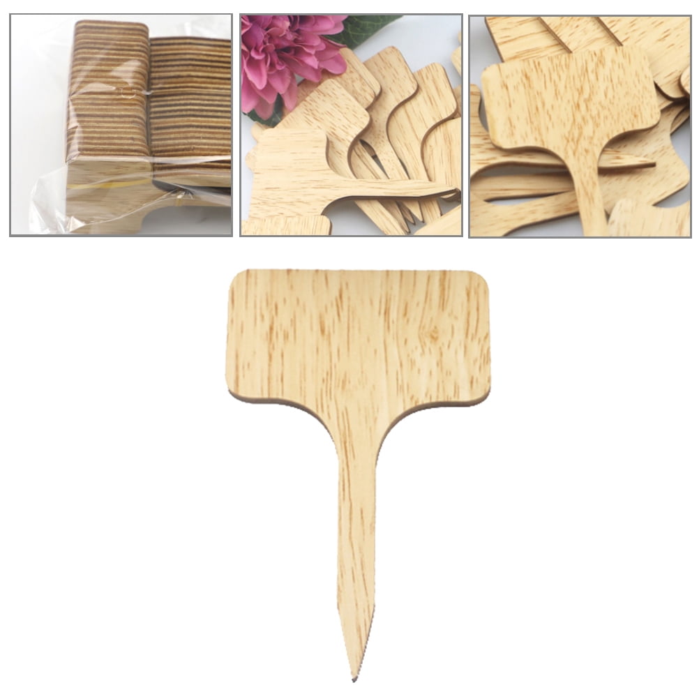 WORGEOUS Succulent Label T-shape Plant Tag Signs Identification Stakes ...