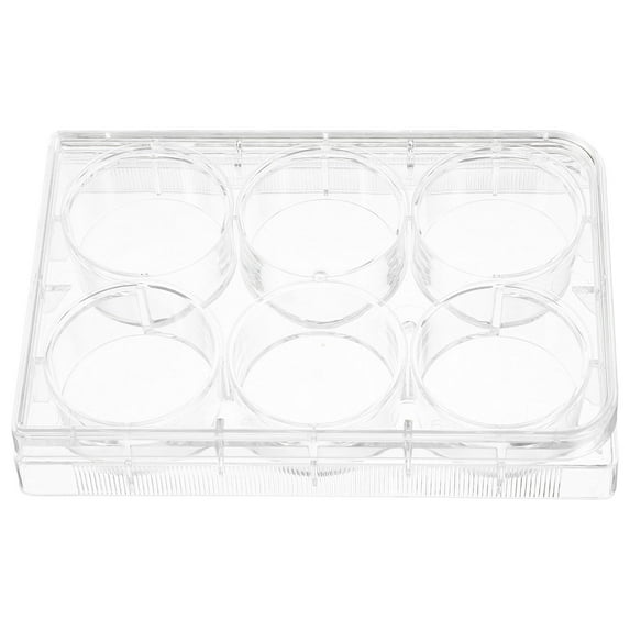 WORGEOUS Tissue Culture Plate Lab Equipment Tissue Culture Tray Cell ...