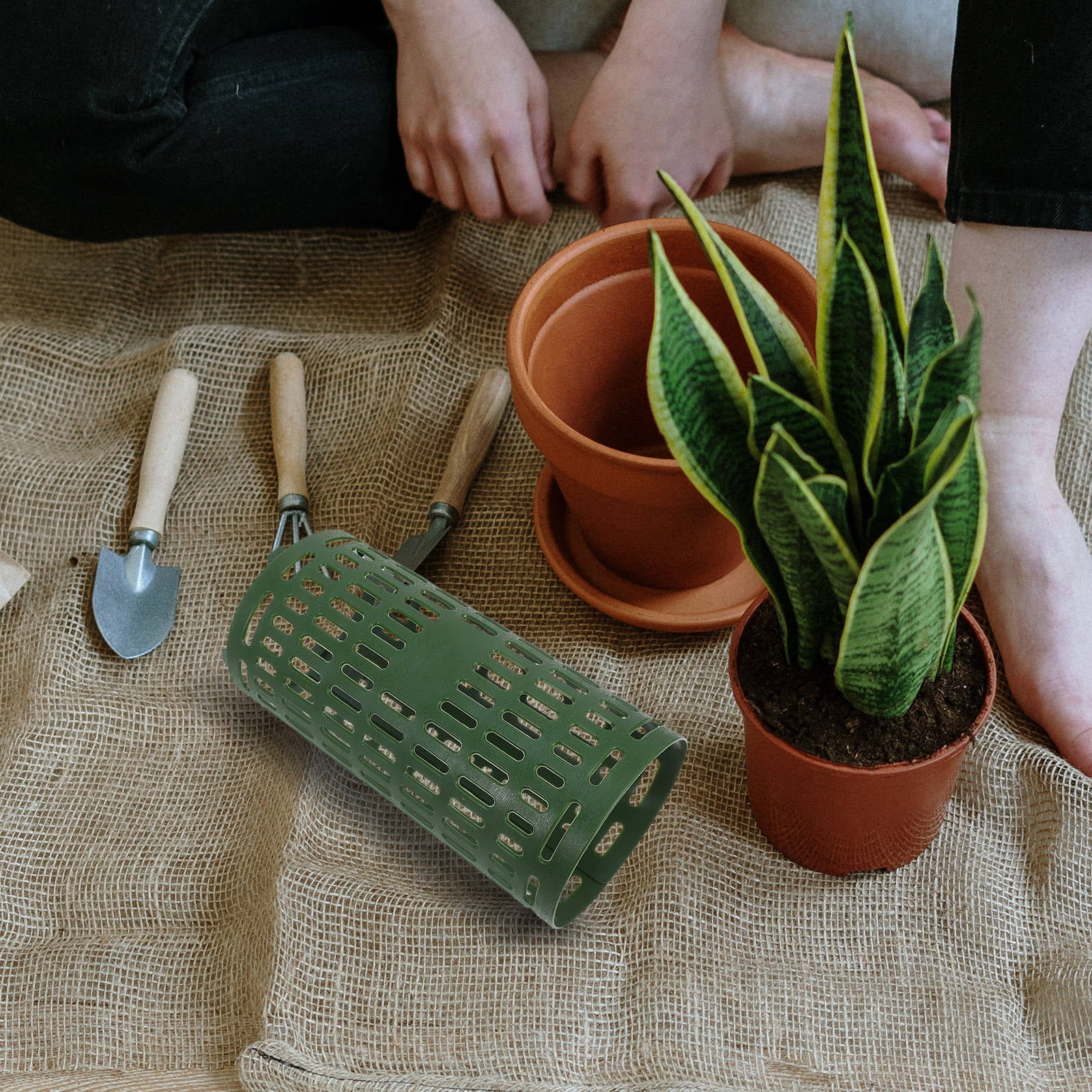 WORGEOUS Tree Trunk Shield Rectangular Mesh Aesthetic Design for Tree ...