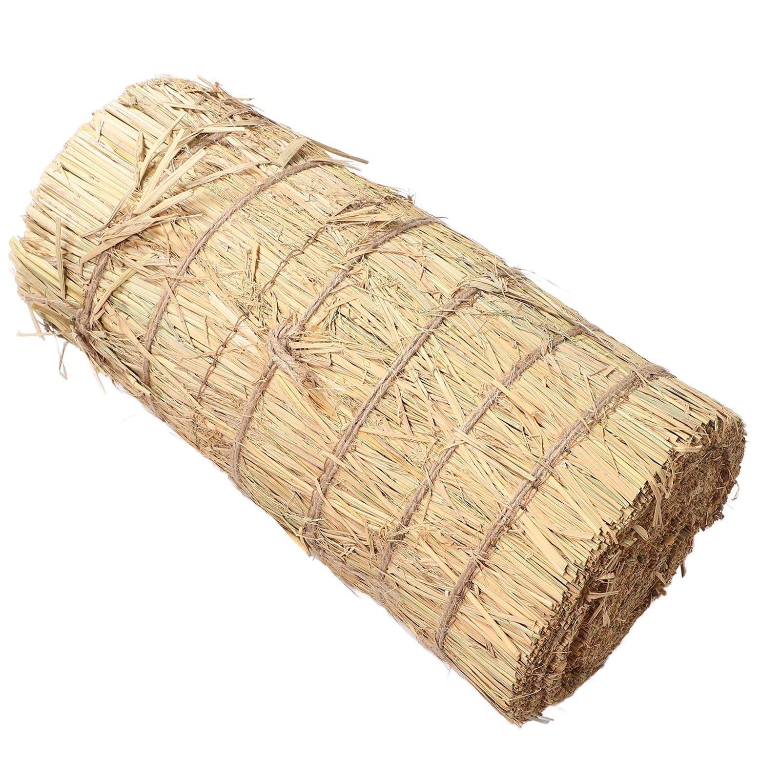 WORGEOUS Year of The Snake Charm Round Dryer Vent Cover Haystack ...