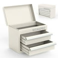 WORKPRO Mini Metal Tool Box with 2 Drawers and Top Storage, Small Tool ...