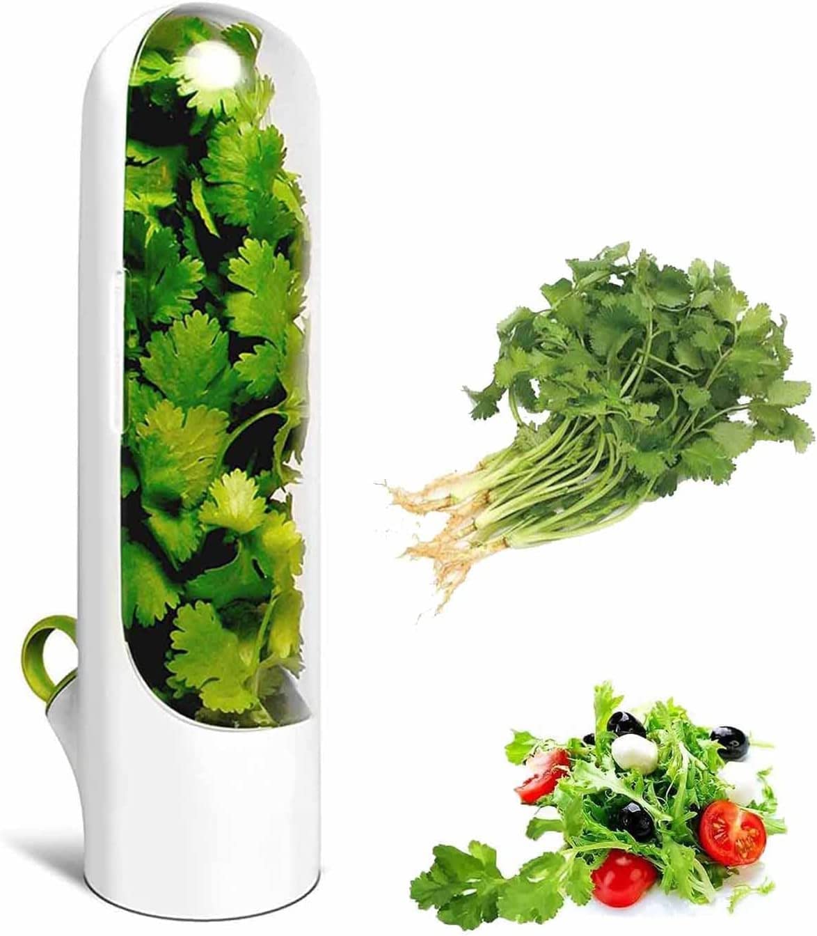 WOVTE 1 cup of high-quality fresh vanilla, refrigerated vanilla ...