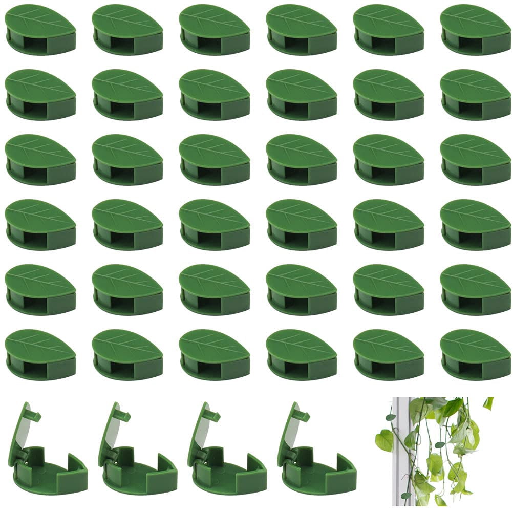 WOVTE 40 Pcs Plant Wall Climbing Clips Green Vine Clip Invisible Plant ...