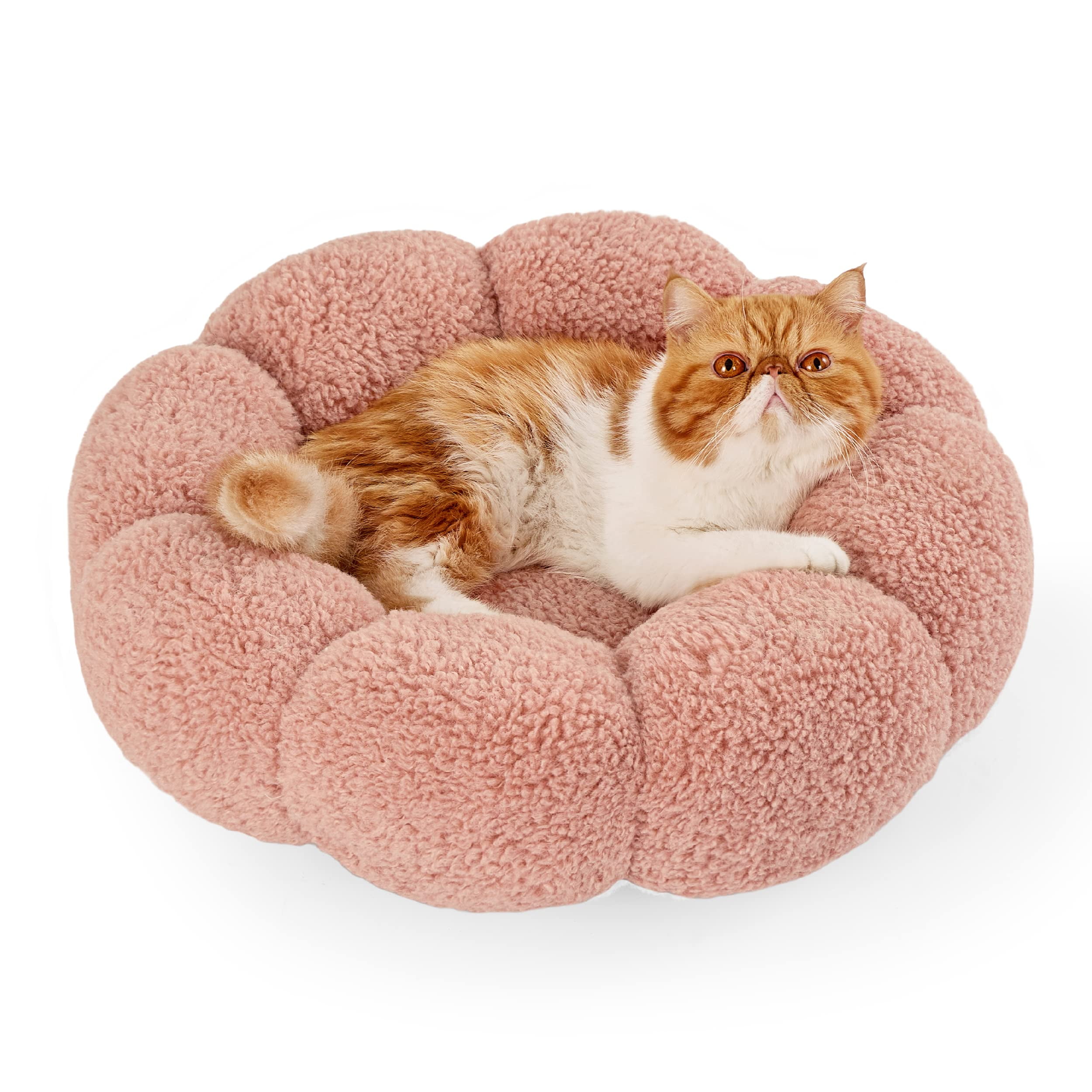 WP Medium Dog Bed - Flower Donut Round Fluffy Puppy Bed, Plush Teddy Sherpa, Non-Slip Cute ...
