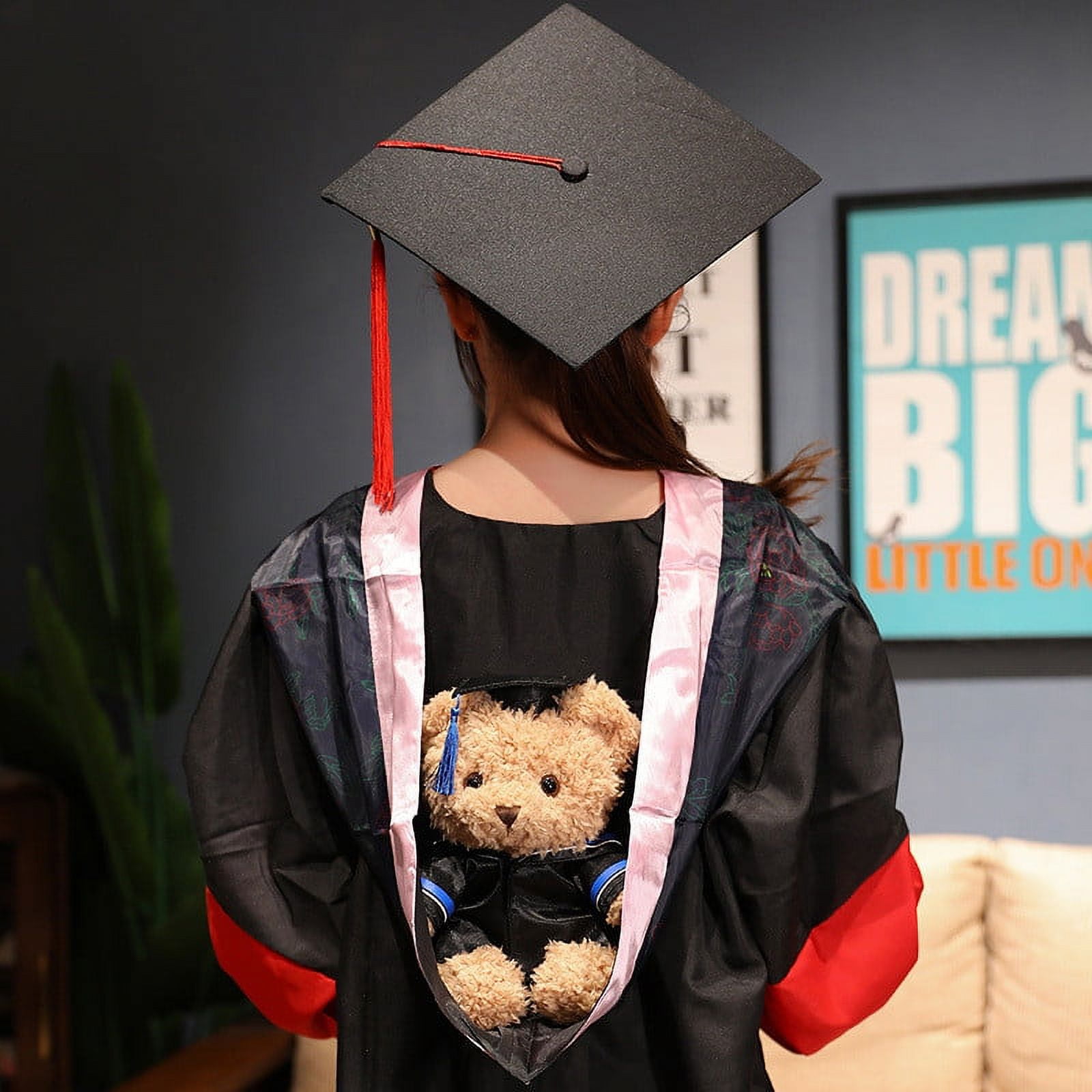 WQJNWEQ Graduation Bear Class of 2023, 9 Inch Plush Gift with Diploma ...