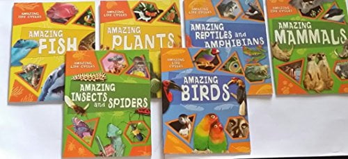 Pre-Owned WR Amazing Life Cycles 6 Set: BIRDS, REPTILES AND AMPHIBIANS ...