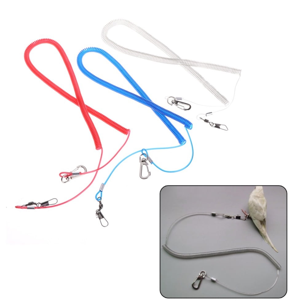 WRISTBIQUE Bird Flying Leash Parrot Training Foot Chain 1Pack for ...