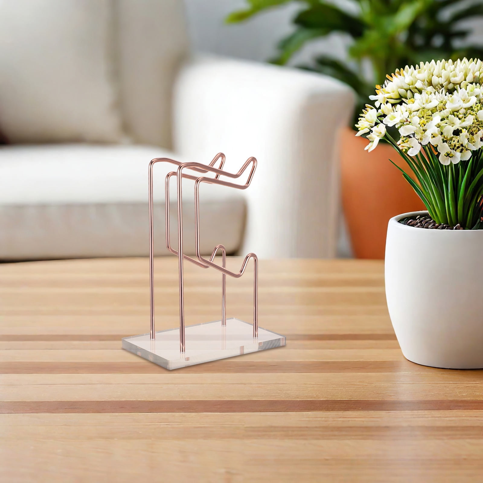 WRISTBIQUE Game Controller Storage Rack, Metal and Acrylic, Rose Gold ...