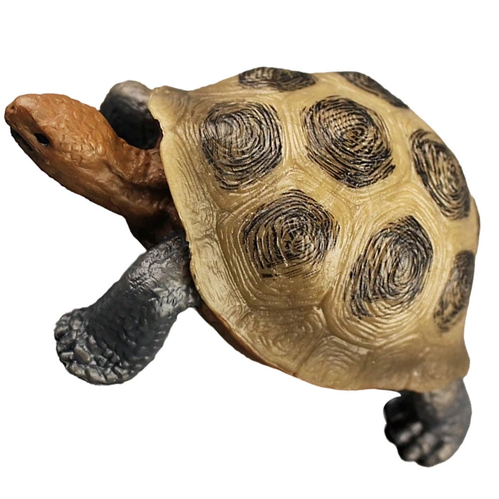 WRISTBIQUE Model Turtle Toys Land Tortoise Model for Kids Realistic and ...
