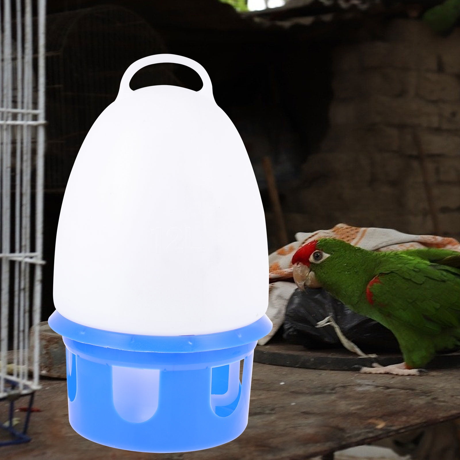 WRISTBIQUE Pigeon Dispenser 22x8.3in PVC Simple Design for Birds ...
