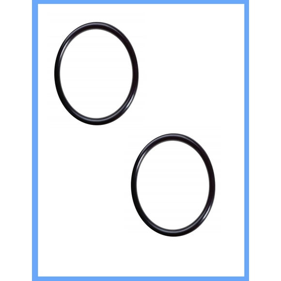 Pool Filter O Rings
