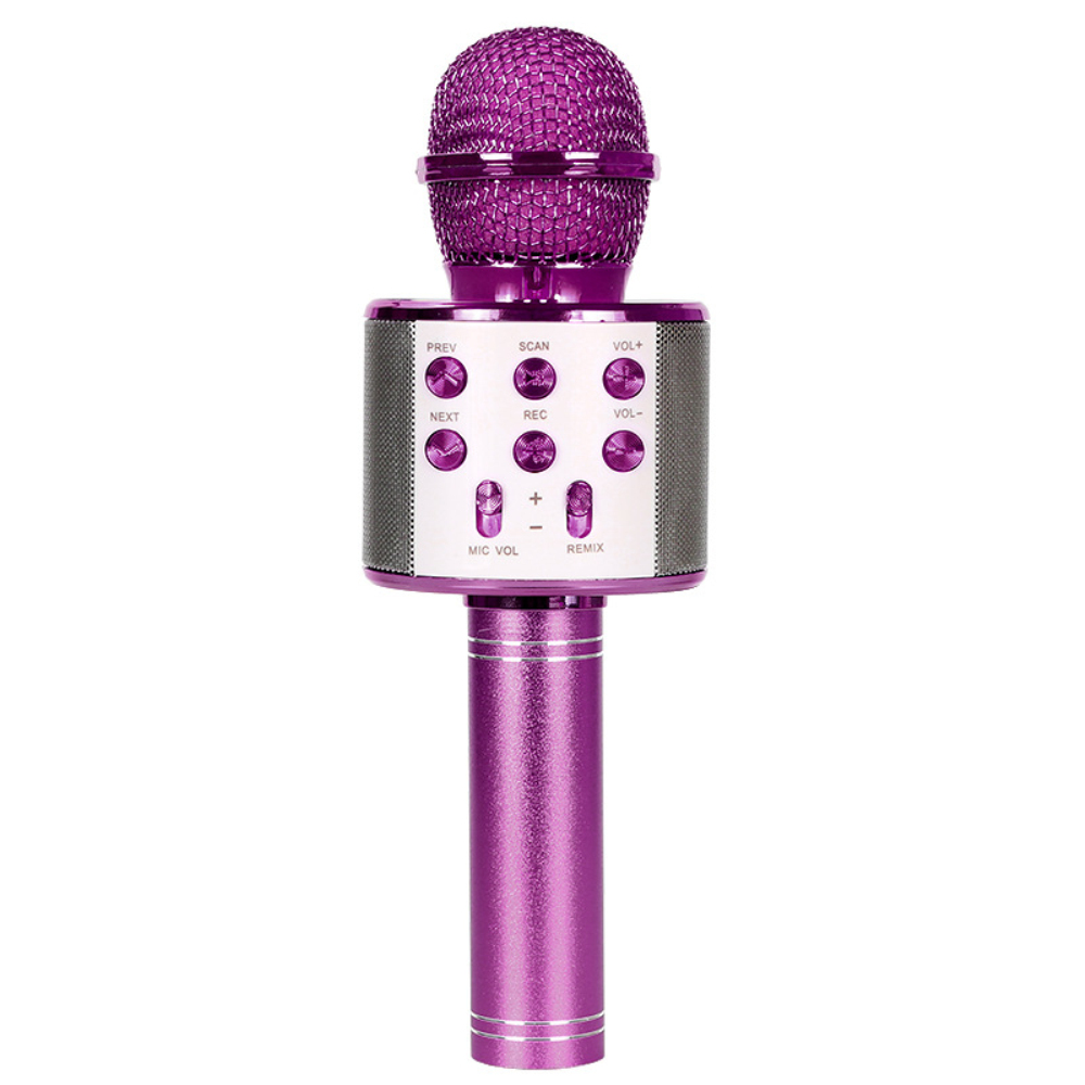 WS858 Bluetooth Karaoke Wireless Microphone Professional Speaker ...