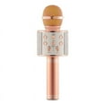 WS858 Bluetooth Wireless Karaoke Handheld Microphone USB KTV Player Bluetooth Mic Speaker Record ...