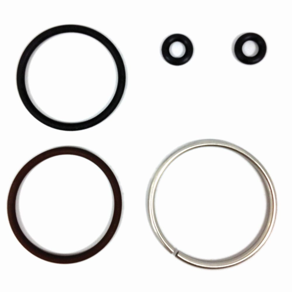 WSM Fuel Injector Repair Kit for Johnson / Evinrude 40 - 300 Hp E-Tec ...