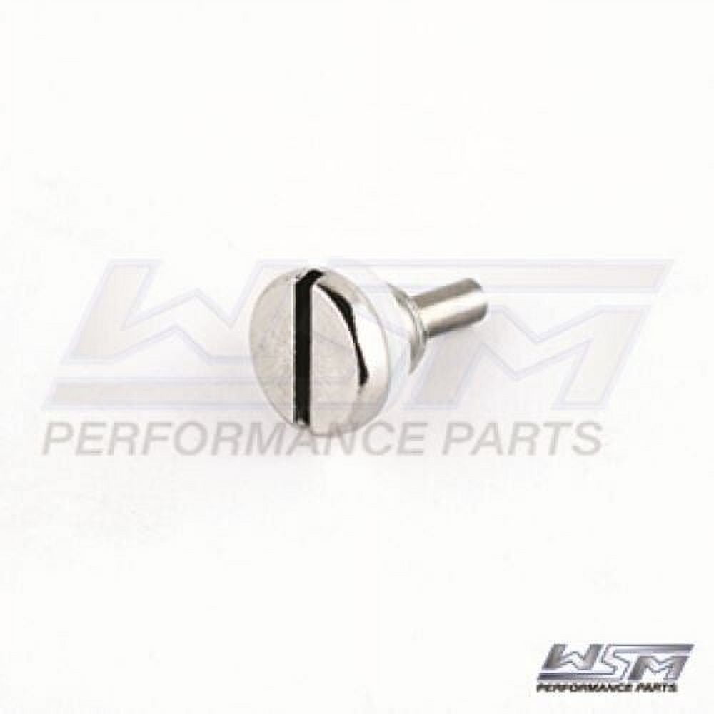 WSM Johnson / Evinrude 4-8 / 40-300 Hp Lower Fill Drain Screw Magnetic 445-180 - Walmart.com